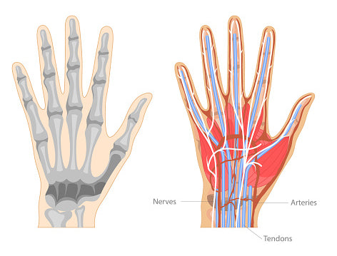 Mr Rupert Wharton | Hand, Wrist and Upper Limb Surgeon