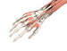 Mr Rupert Wharton | Hand, Wrist and Upper Limb Surgeon